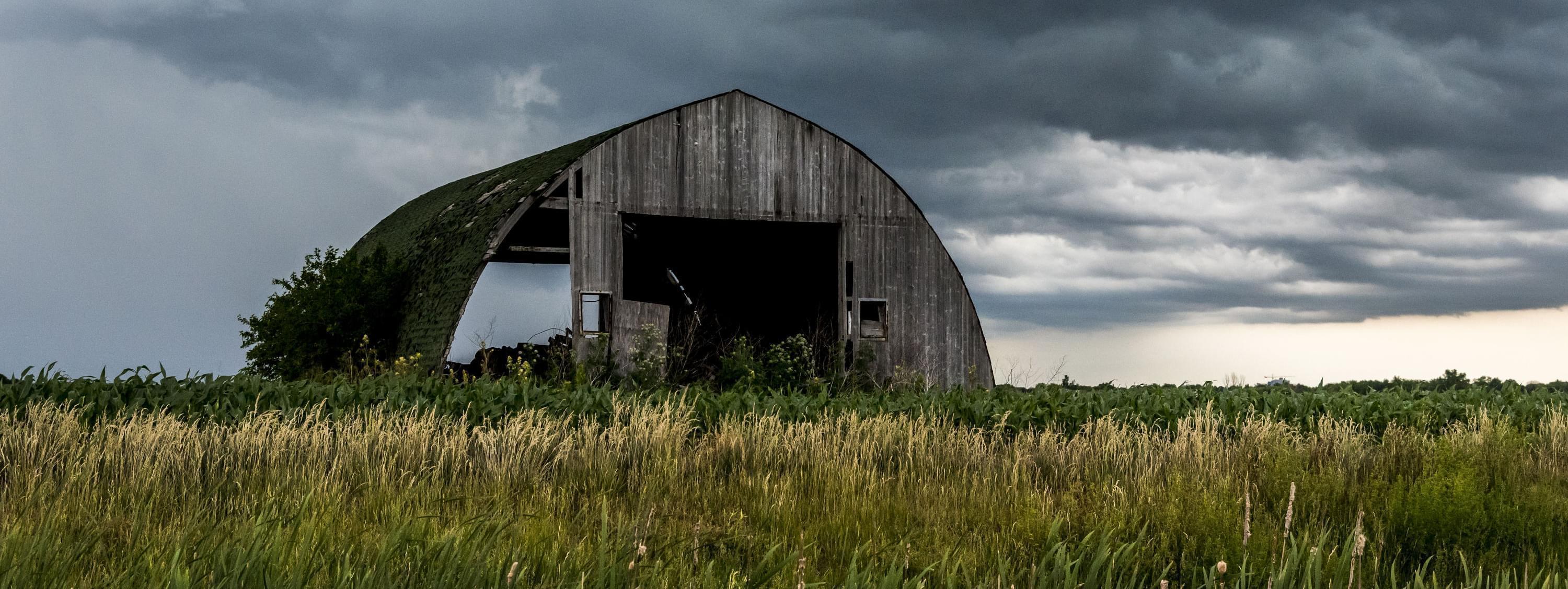 GMOs, Monsanto And The Fight Against Climate Change | News Local/State ...