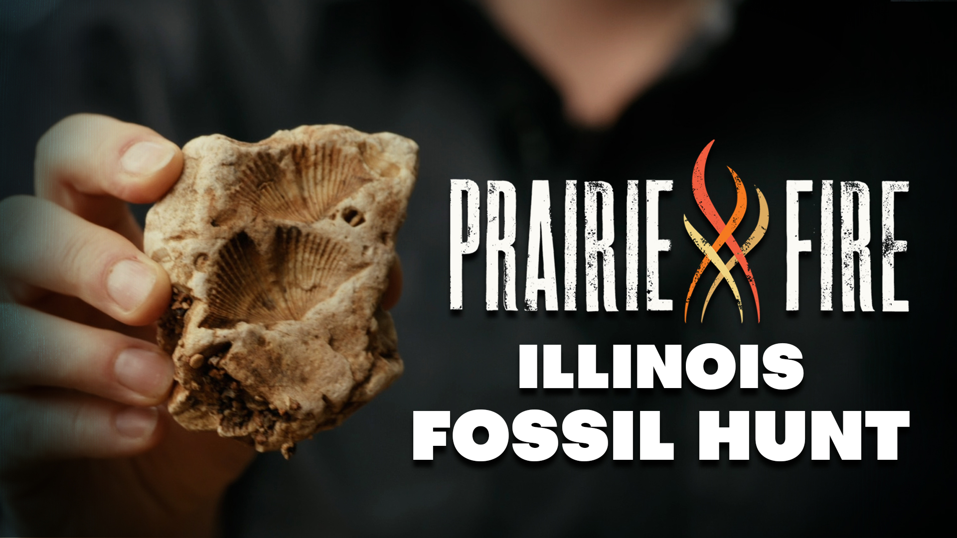 Illinois Fossil Hunt | Prairie Fire | Illinois Public Media