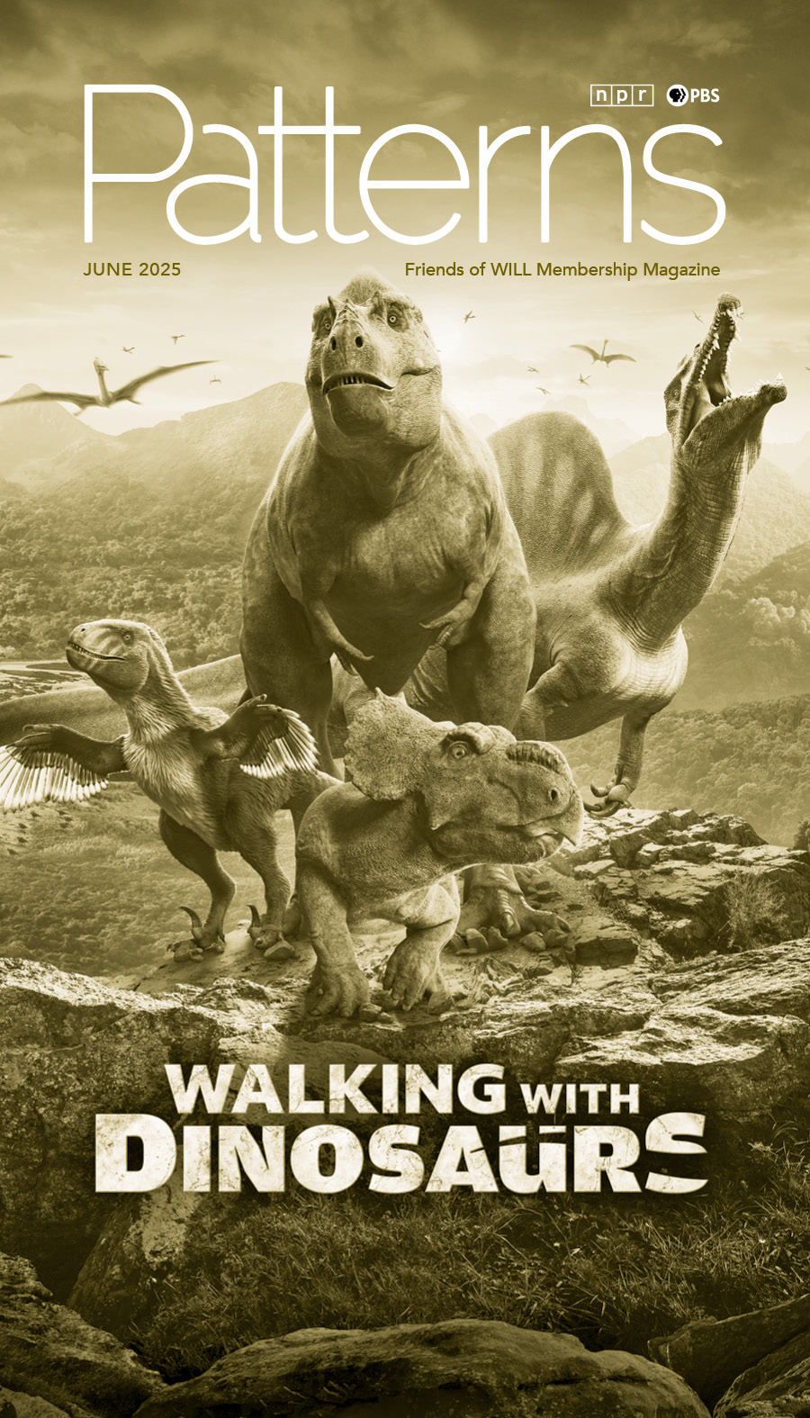 June 2025 Patterns magazine | Patterns Magazine | Illinois Public Media