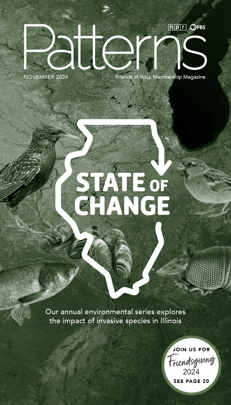 November 2024 Patterns magazine | Patterns Magazine | Illinois Public Media