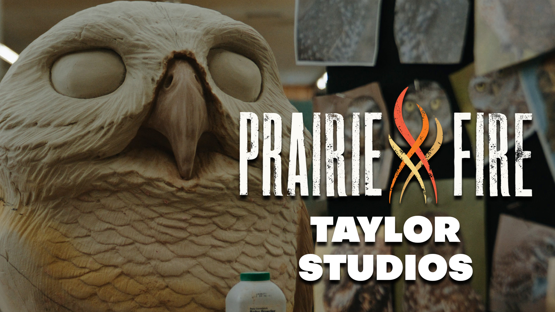 Taylor Studios, Inc. | Prairie Fire | Illinois Public Media