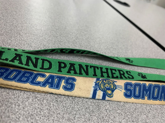 217 Today: Small school districts want to offer their students as much ...